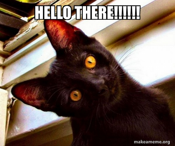 hello there!!!!!! - Overly Attached Cat Meme Generator