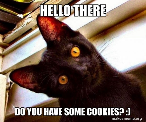 Hello There Do you have some Cookies? :) - Overly Attached Cat | Make a ...
