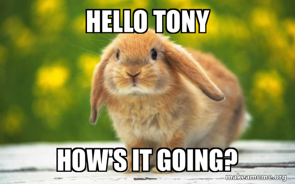 Hello Tony How's it going? - Regretful Rabbit Meme Generator