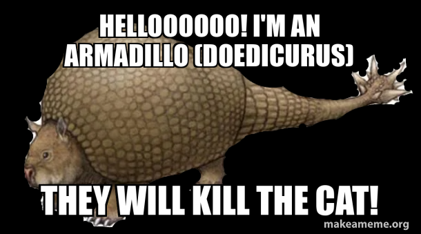 Helloooooo! I'M AN ARMADILLO (DOEDICURUS) THEY WILL KILL THE CAT ...