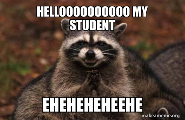 Evil Plotting Raccoon Meme