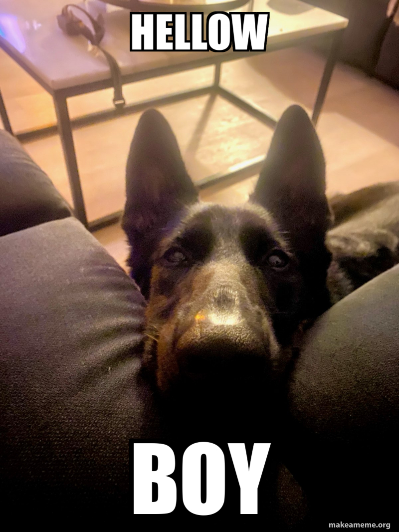 HELLOW Boy Meme Generator
