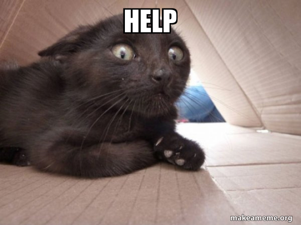 help - Schitzo Cat Meme Generator