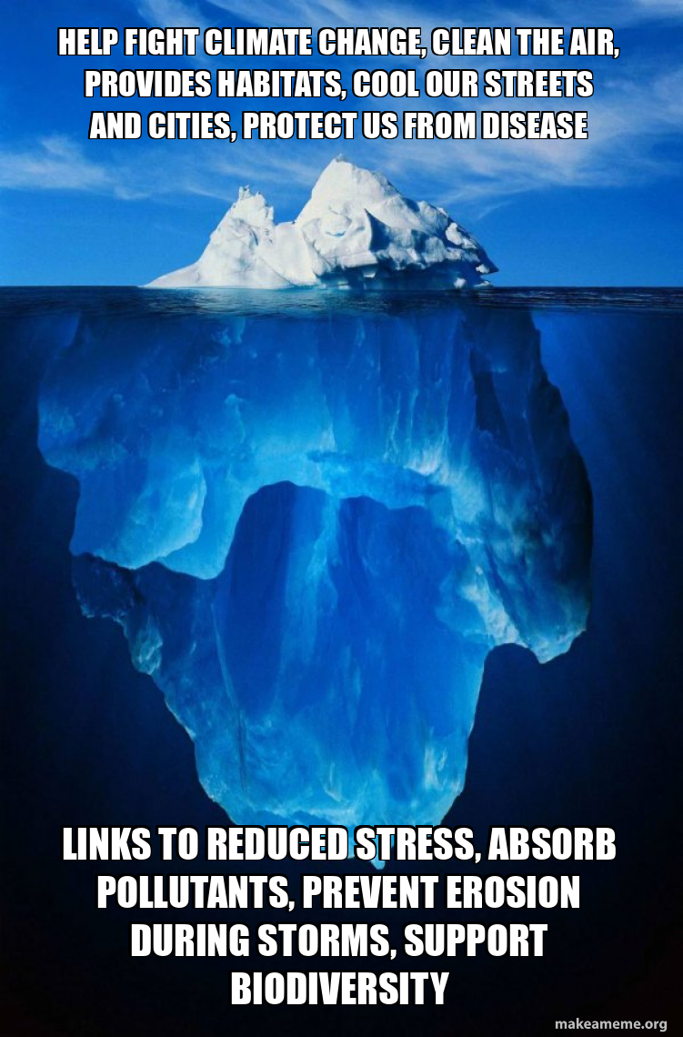 Help fight climate change, Clean the air, Provides habitats, Cool our ...