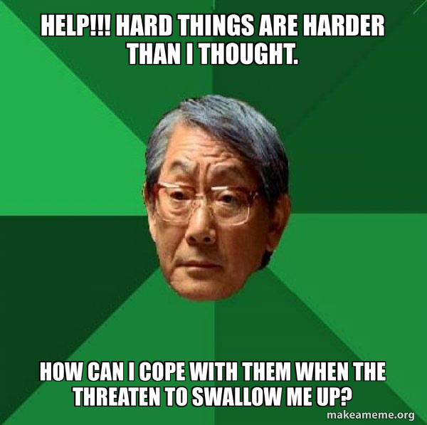 HELP!!! HARD THINGS ARE HARDER THAN I THOUGHT. How can I cope with them ...