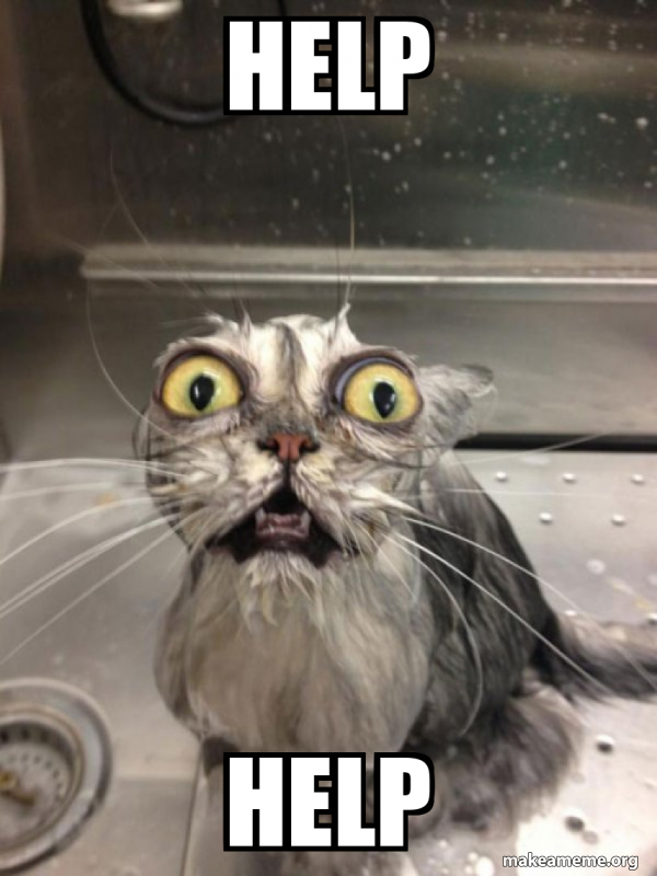 Help Help - Cat bath Meme Generator