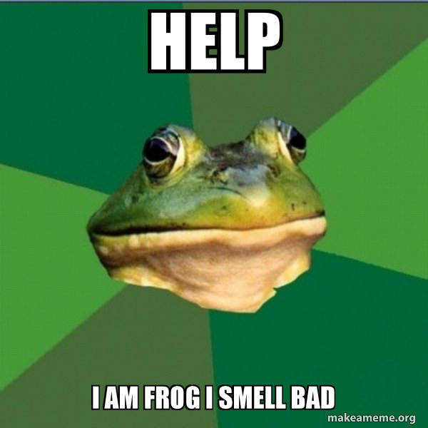 help i am frog i smell bad - Foul Bachelor Frog | Make a Meme