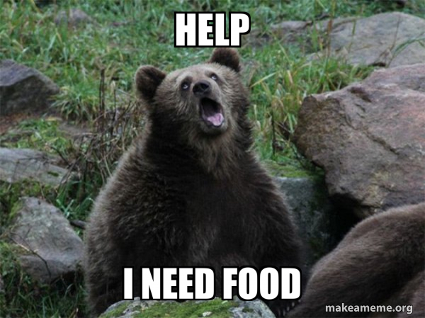 HELP I NEED FOOD - Sarcastic Bear Meme Generator