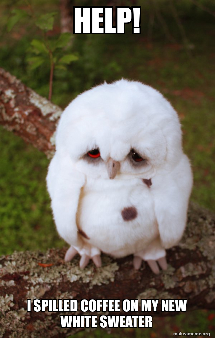 Help! I spilled coffee on my new white sweater - Sad Owl Meme Generator