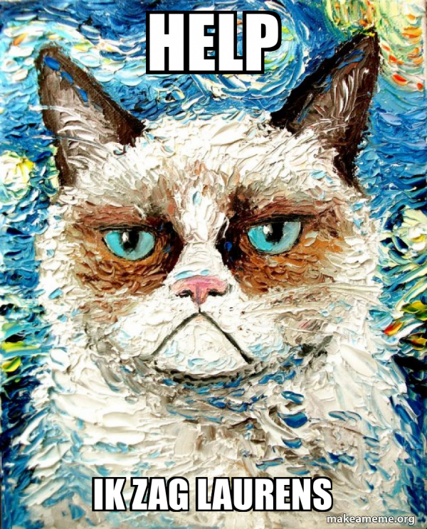 Help ik zag laurens - Vincent Van No - Grumpy Cat Meme Generator