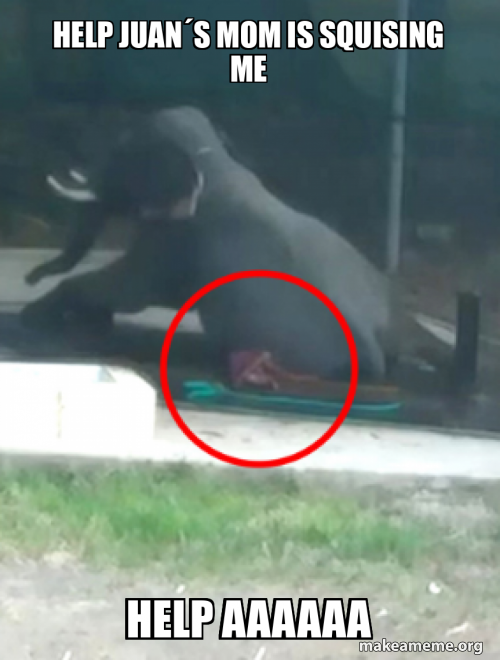 help juan´s mom is squising me help aaaaaa Meme Generator