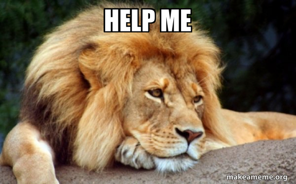 help me - Confession Lion Meme Generator