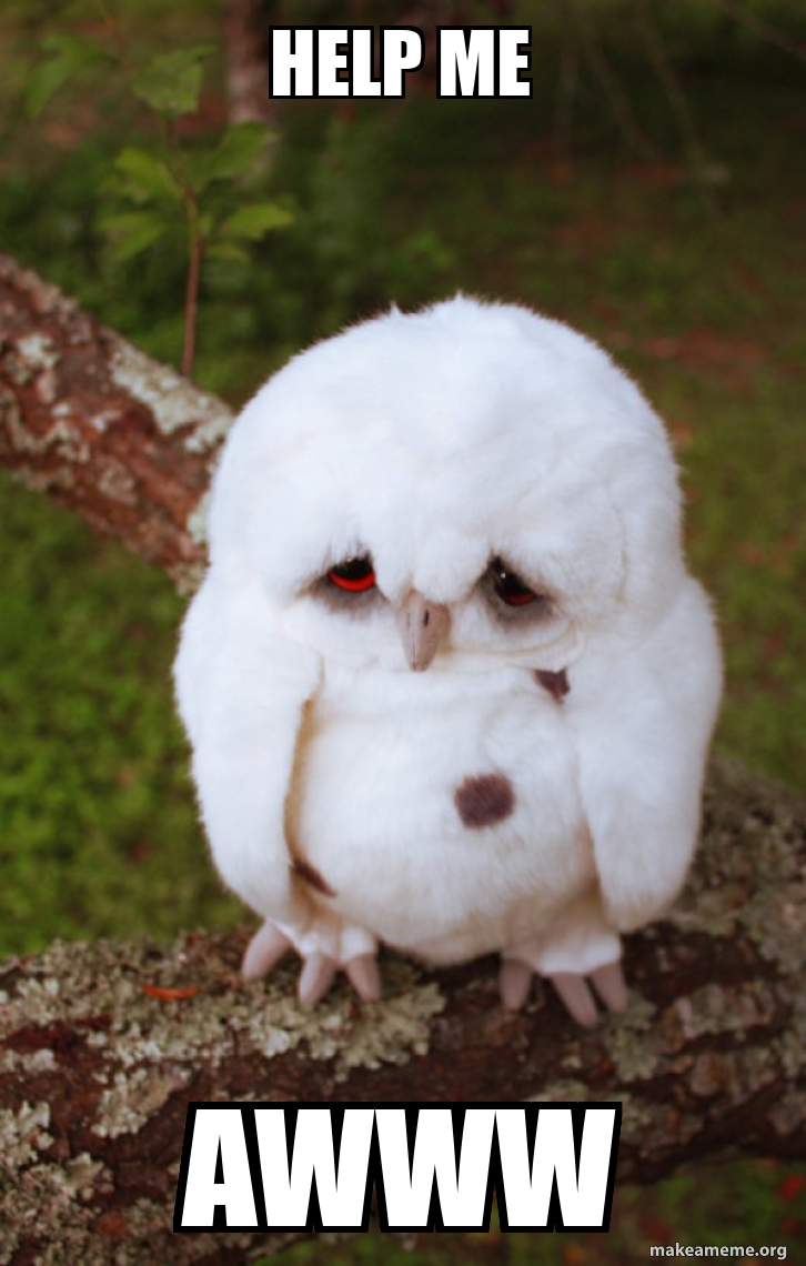 Help me awww - Sad Owl Meme Generator