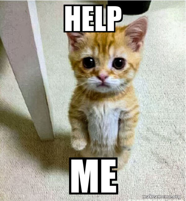 Help me - Cute Cat Standing Meme Generator