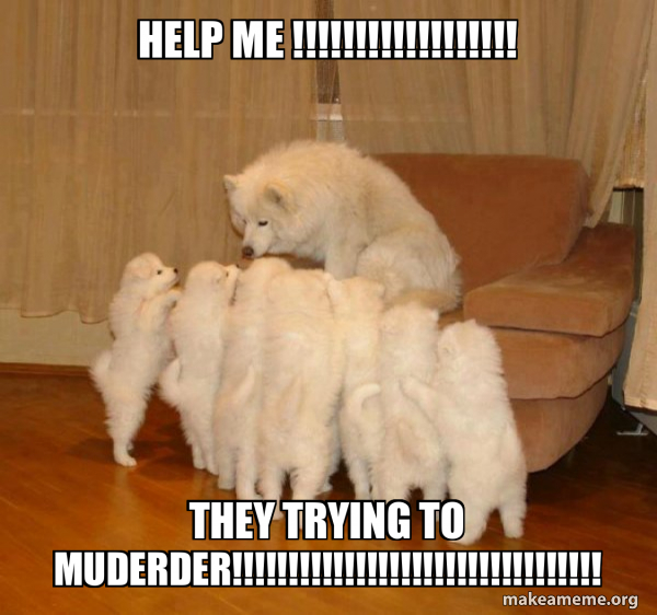 HELP ME !!!!!!!!!!!!!!!!!! THEY TRYING TO MUDERDER ...