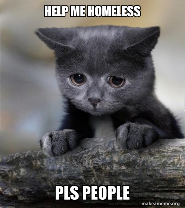 help me homeless pls people - Confession Cat Meme Generator