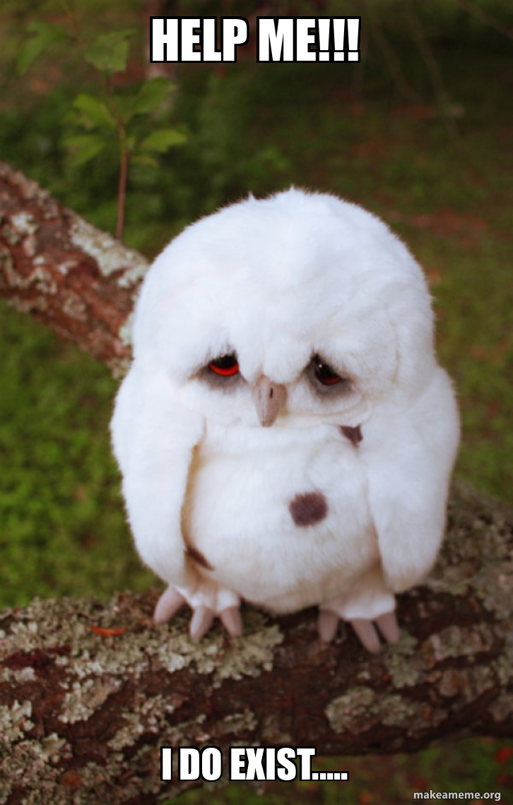 HELP ME!!! I DO EXIST..... - Sad Owl Meme Generator