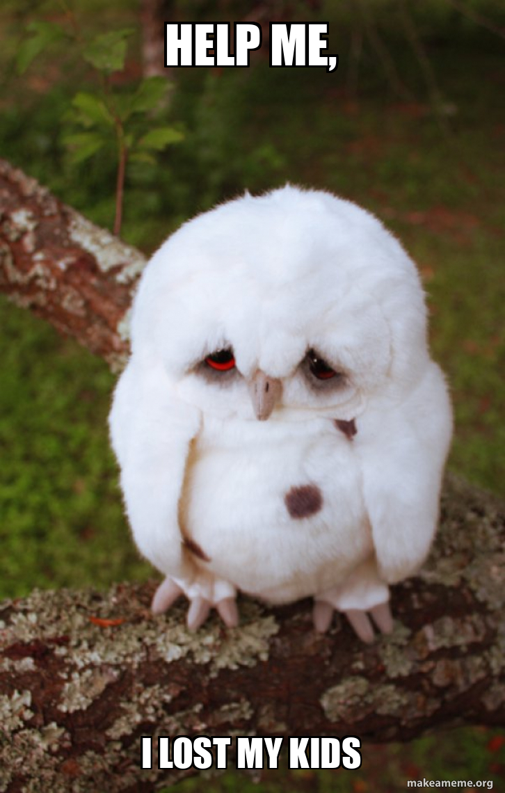 help me, i lost my kids - Sad Owl Meme Generator