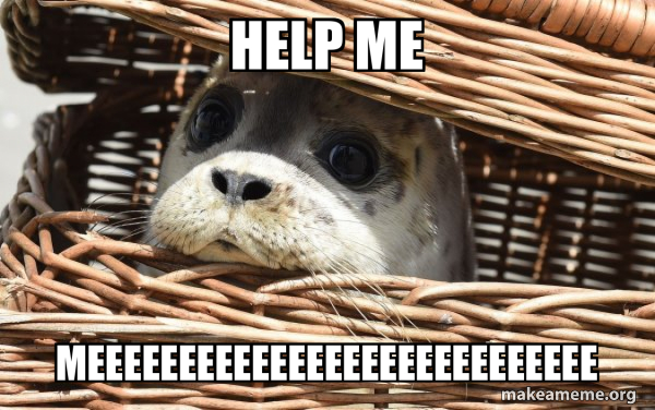 help me meeeeeeeeeeeeeeeeeeeeeeeeeeee - Impending Doom Seal Meme Generator