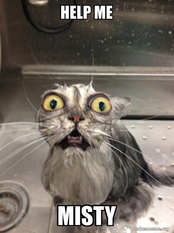 help me misty - Cat bath Meme Generator