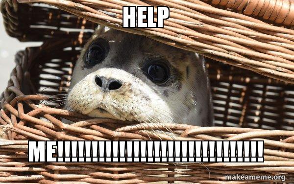 HELP ME!!!!!!!!!!!!!!!!!!!!!!!!!!!!!! - Impending Doom Seal Meme Generator