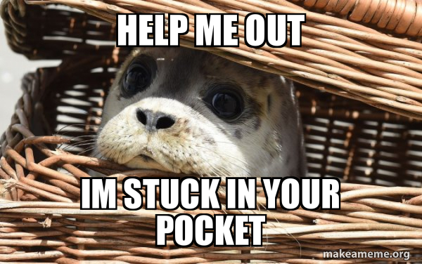 help me out im stuck in your pocket - Impending Doom Seal Meme Generator