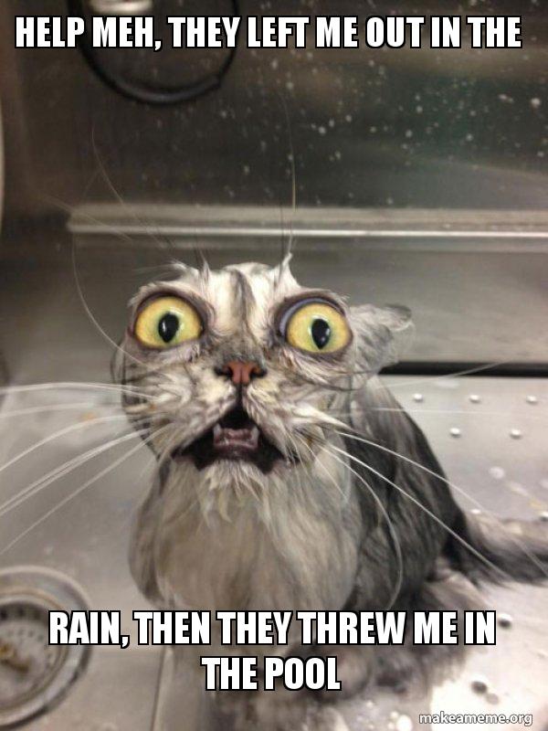 Help meh, they left me out in the RAIN, then they threw me in the pool ...