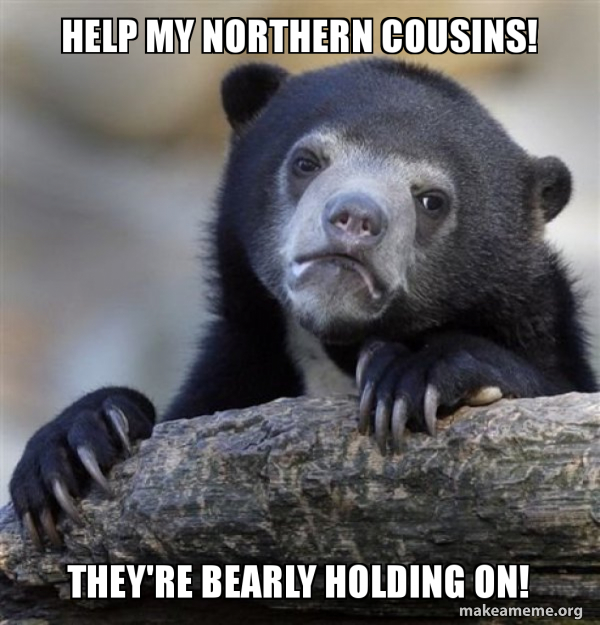 Help my northern cousins! They're BEARLY holding on! - Confession Bear ...