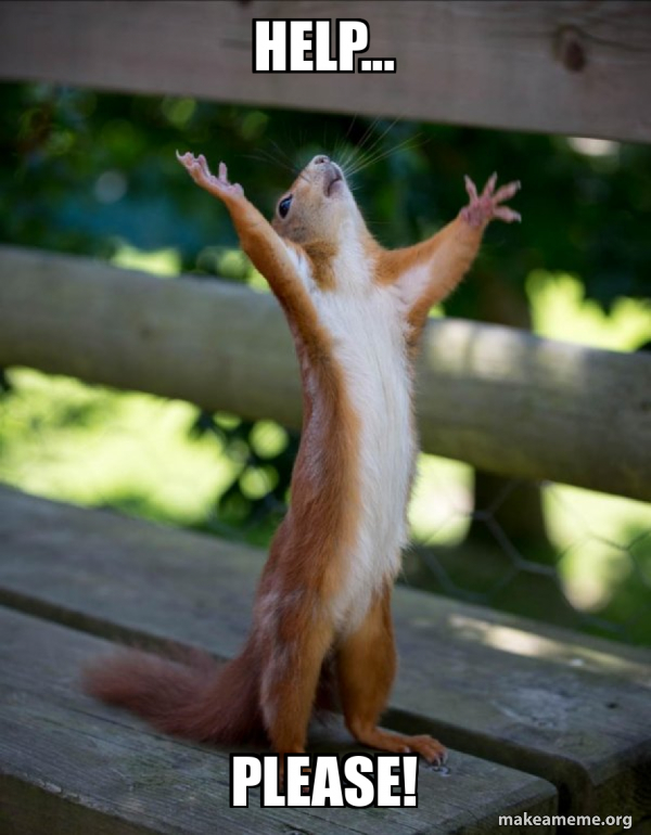 Help... Please! - Happy Squirrel Meme Generator