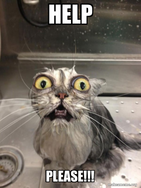 Help PLEASE!!! - Cat bath Meme Generator