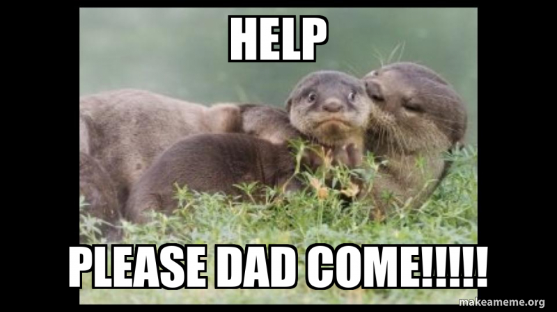 Help Please dad come!!!!! Meme Generator