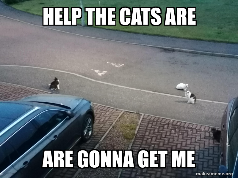 HELP THE CATS ARE ARE GONNA GET ME Meme Generator