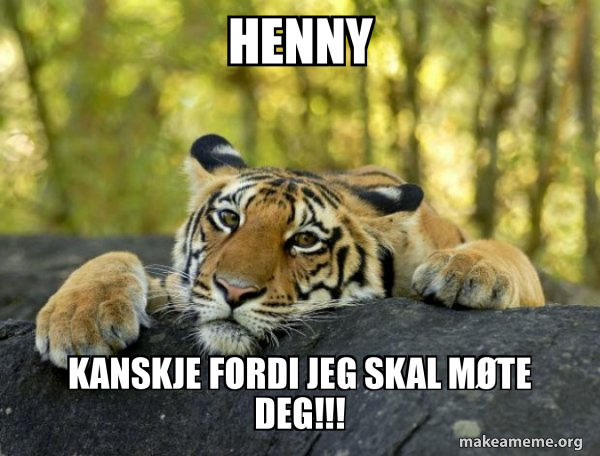 Henny kanskje fordi jeg skal mÃ¸te deg!!! - Confession Tiger Meme Generator
