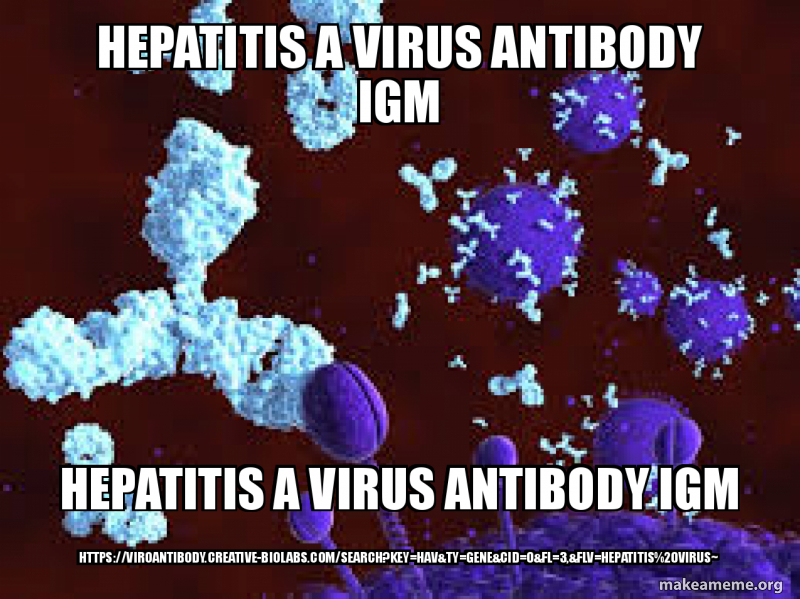 hepatitis a virus antibody igm hepatitis a virus antibody igm https ...