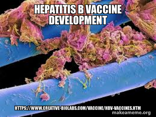 hepatitis b vaccine development https://www.creative-biolabs.com ...