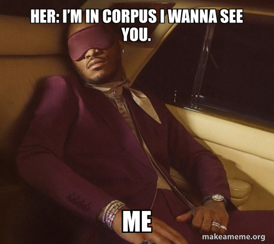 Her: i’m in corpus i wanna see you. Me Meme Generator