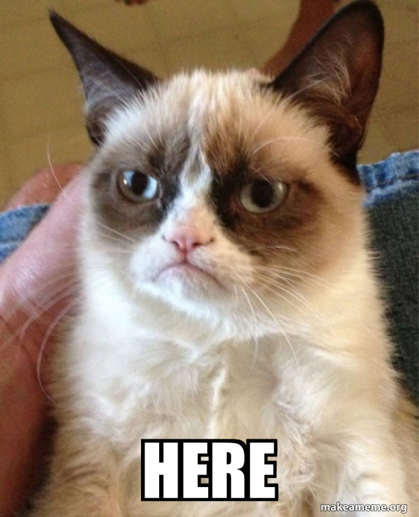 Here - Grumpy Cat Meme Generator