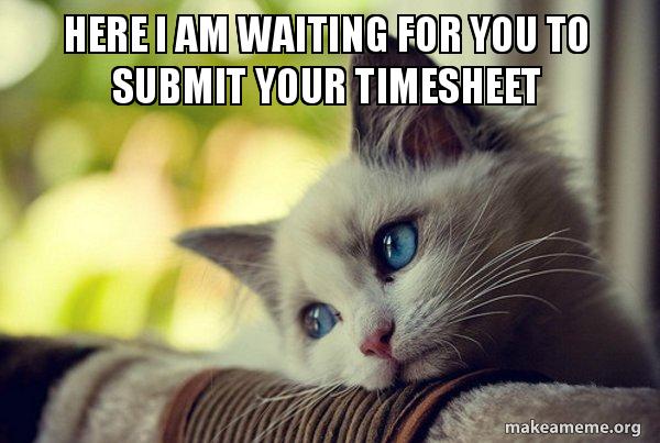 Here I am waiting for you to submit your timesheet - First World Cat ...