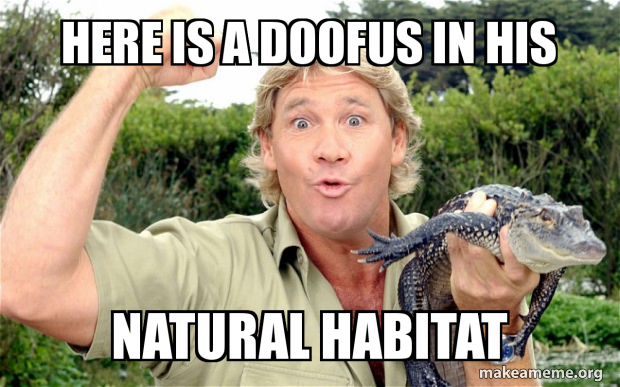 Here is a dOofus in his Natural haBitAT Meme Generator