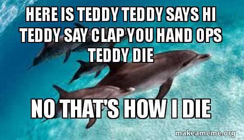 here is teddy teddy says hi teddy say clap you hand ops teddy die no ...
