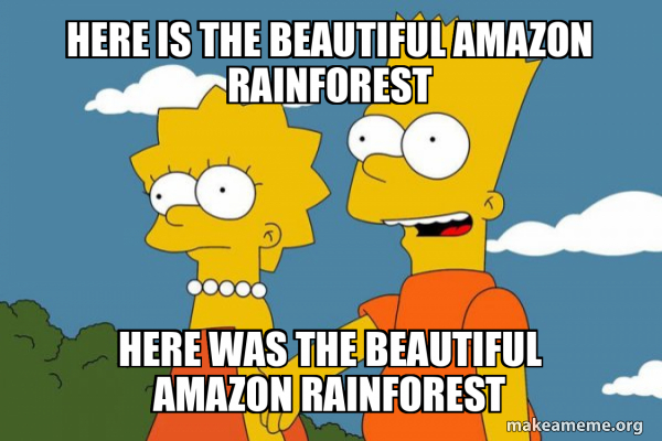 Here is the beautiful amazon rainforest Here was the beautiful amazon ...