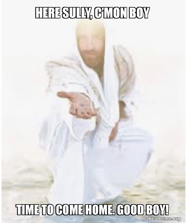 Here sully, câ€™mon boy Time to come home. Good boy! Meme Generator