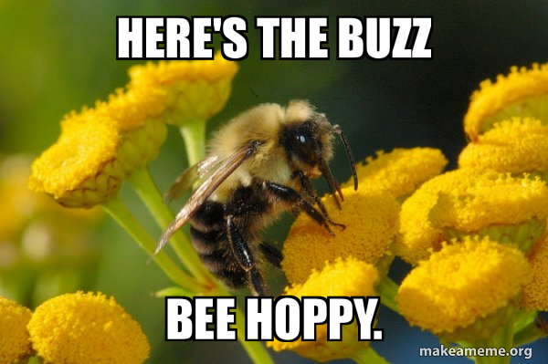 Here's the buzz Bee hoppy. - Good Guy Bee Meme Generator