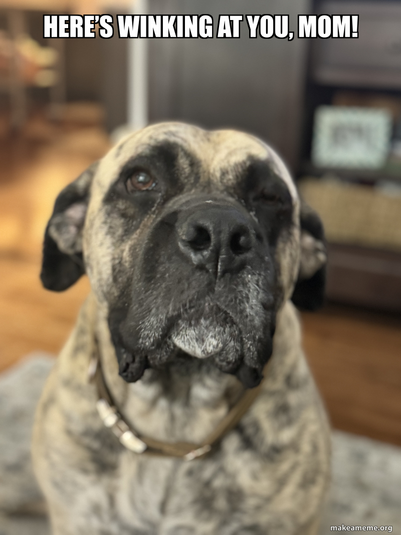 Here’s winking at you, mom! Meme Generator