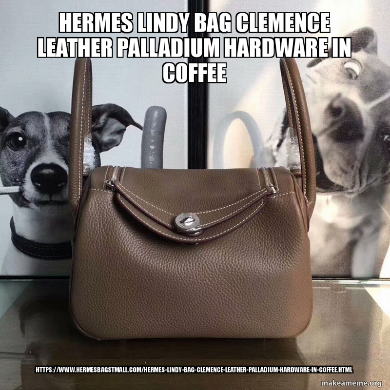 Hermes Lindy Bag Clemence Leather Palladium Hardware In Coffee https ...