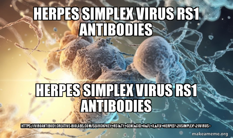 herpes simplex virus RS1 antibodies herpes simplex virus RS1 antibodies ...