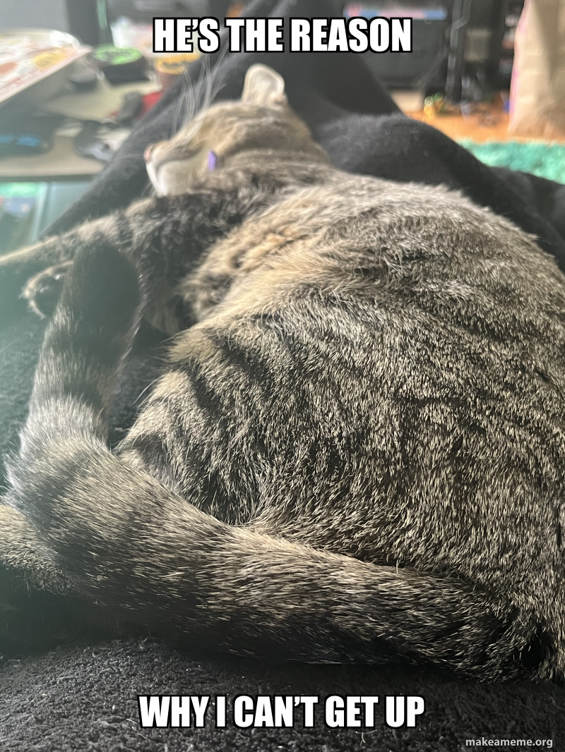 He’s the reason Why i can’t get up Meme Generator