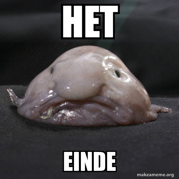 Het Einde - Blobfish Meme Generator