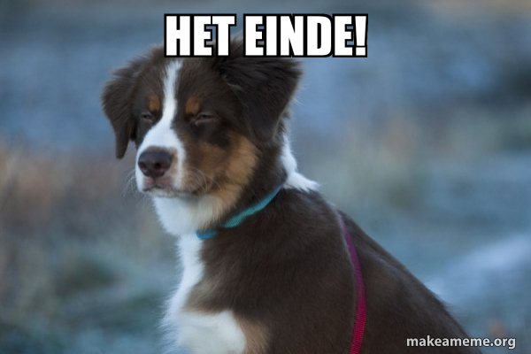 het einde! - Unsure Dog Meme Generator
