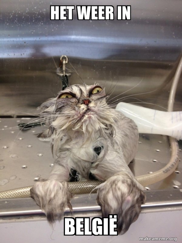 Het weer in België - Cat Bath Returns Meme Generator